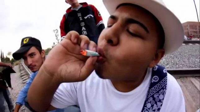 El porro y tú - El Cerebro Habla